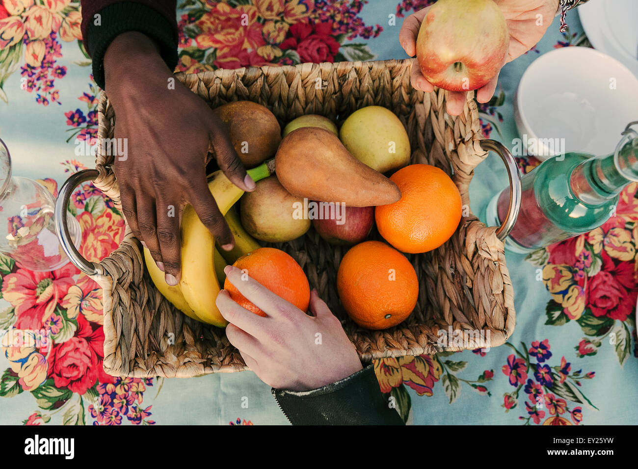 Fruit anatomy hi-res stock photography and images - Alamy