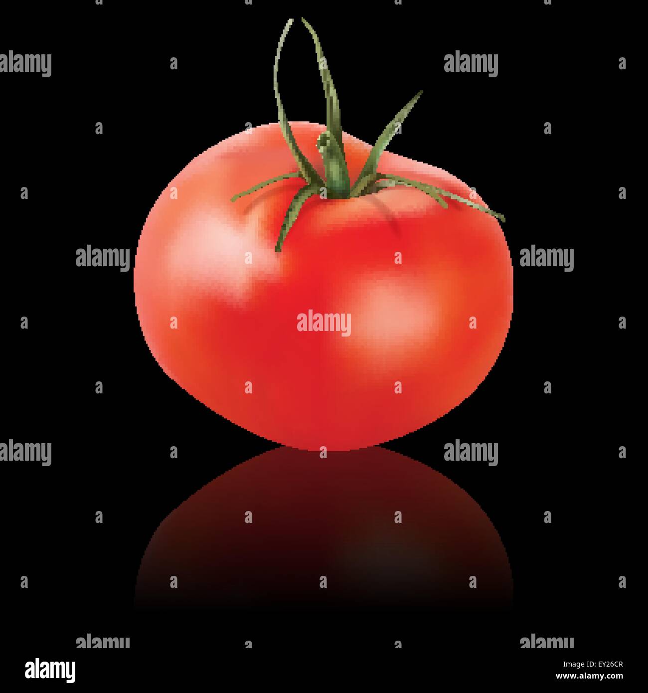 Red tomato with black background Stock Vector Images - Alamy