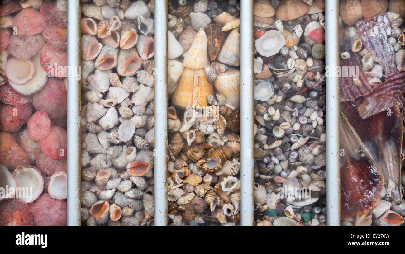 House of shells hi-res stock photography and images - Alamy