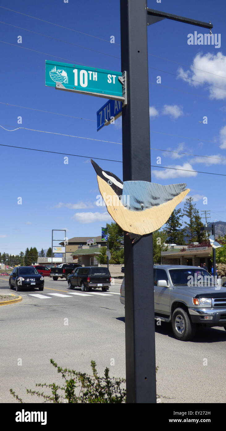 Birds of Canada in the town of Invermere British Columbia Stock Photo ...