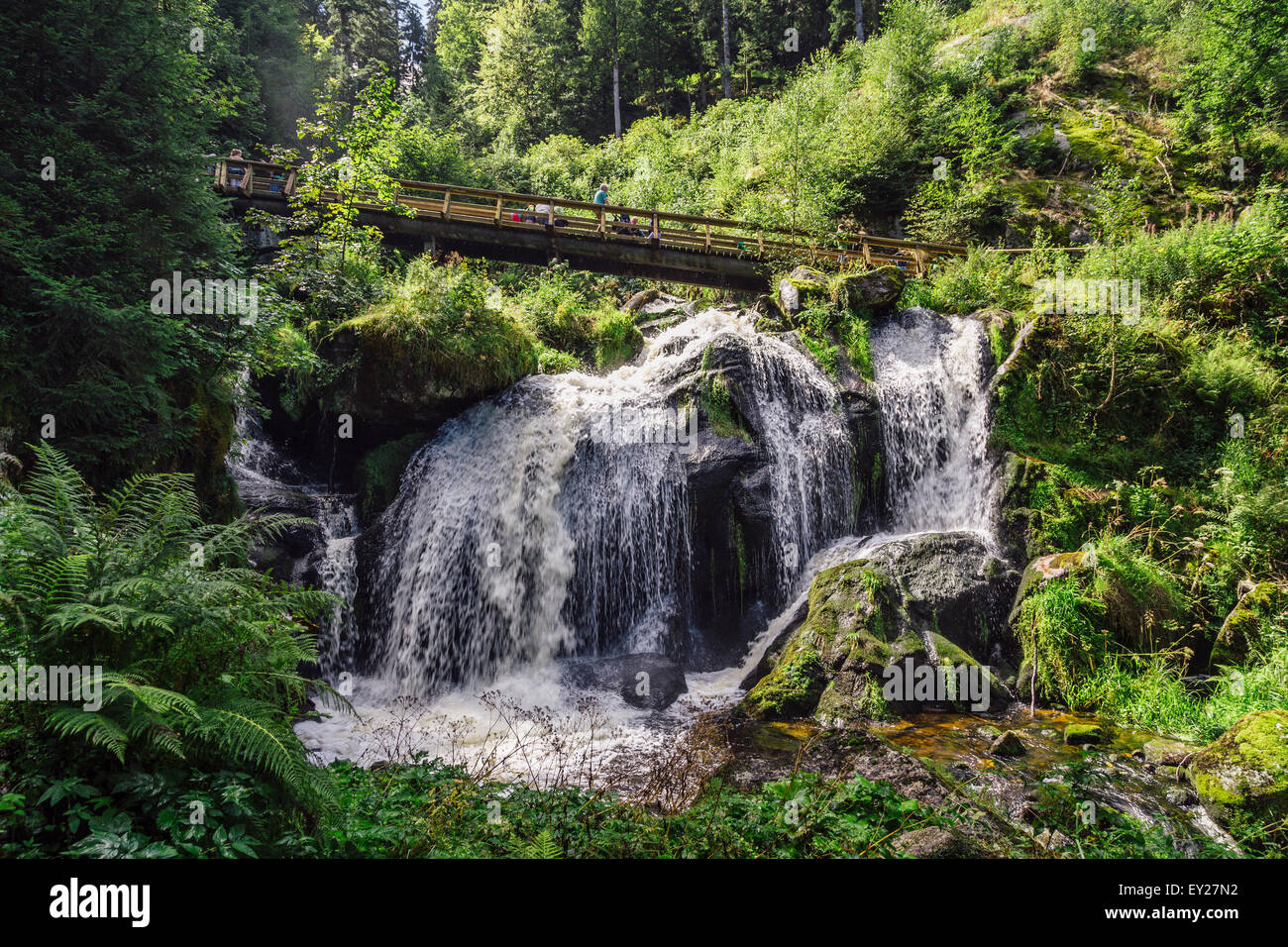Waterfalls at Triberg, Black Forest, Germany Stock Photo - Alamy