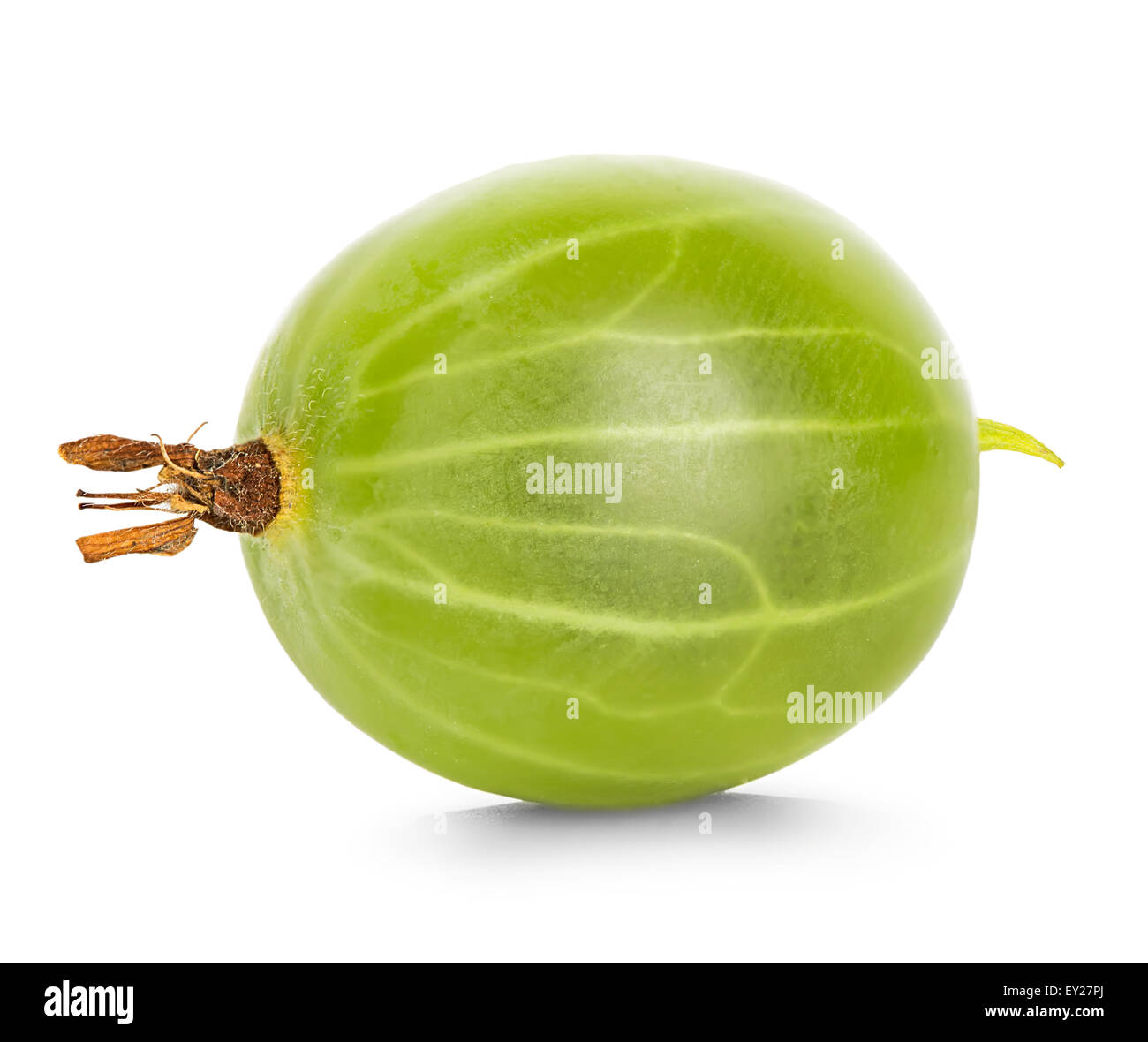 Gooseberries isolated on white background Stock Photo - Alamy