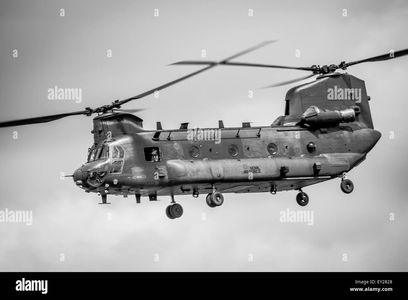 Riat Black and White Stock Photos & Images - Alamy