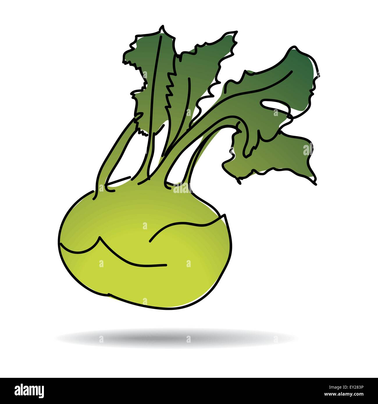 Freehand drawing kohlrabi icon - vector eps 10 illustration Stock ...