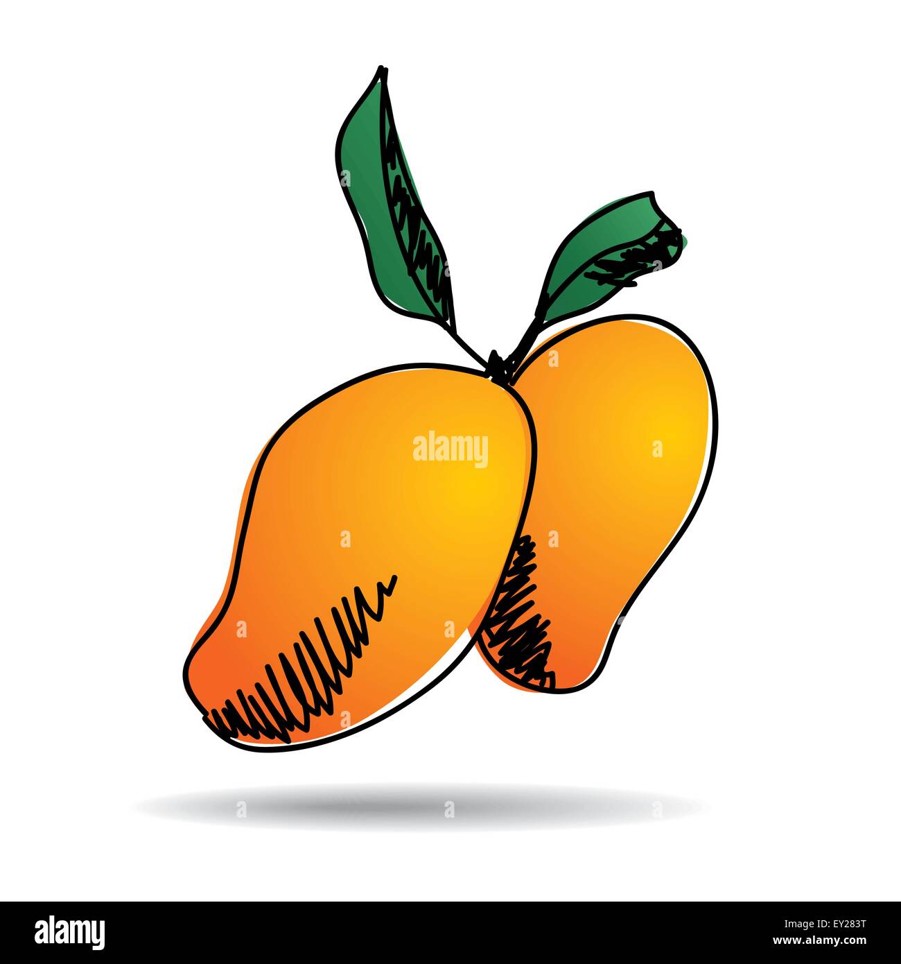 Freehand drawing mango icon - vector eps 10 illustration Stock Vector ...