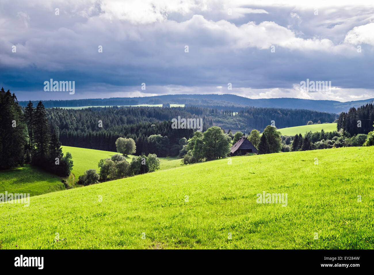 Baar black forest hi-res stock photography and images - Alamy