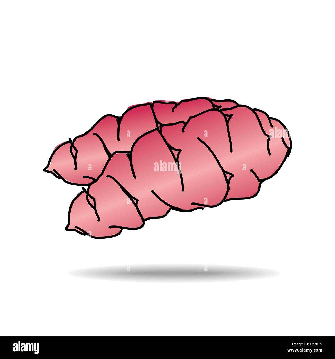 Freehand drawing yam icon - vector eps 10 illustration Stock Vector ...