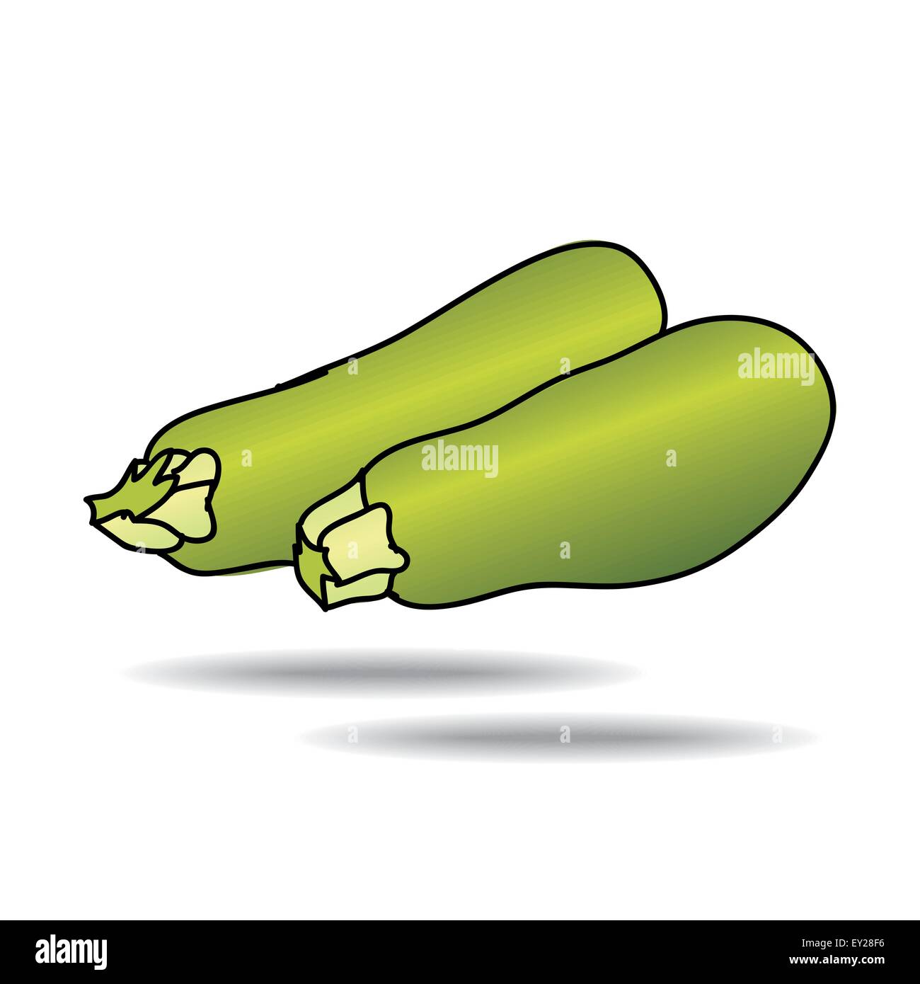 Zucchini Drawing