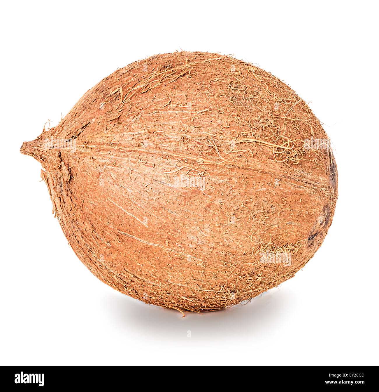 Coconut isolated on white background Stock Photo - Alamy