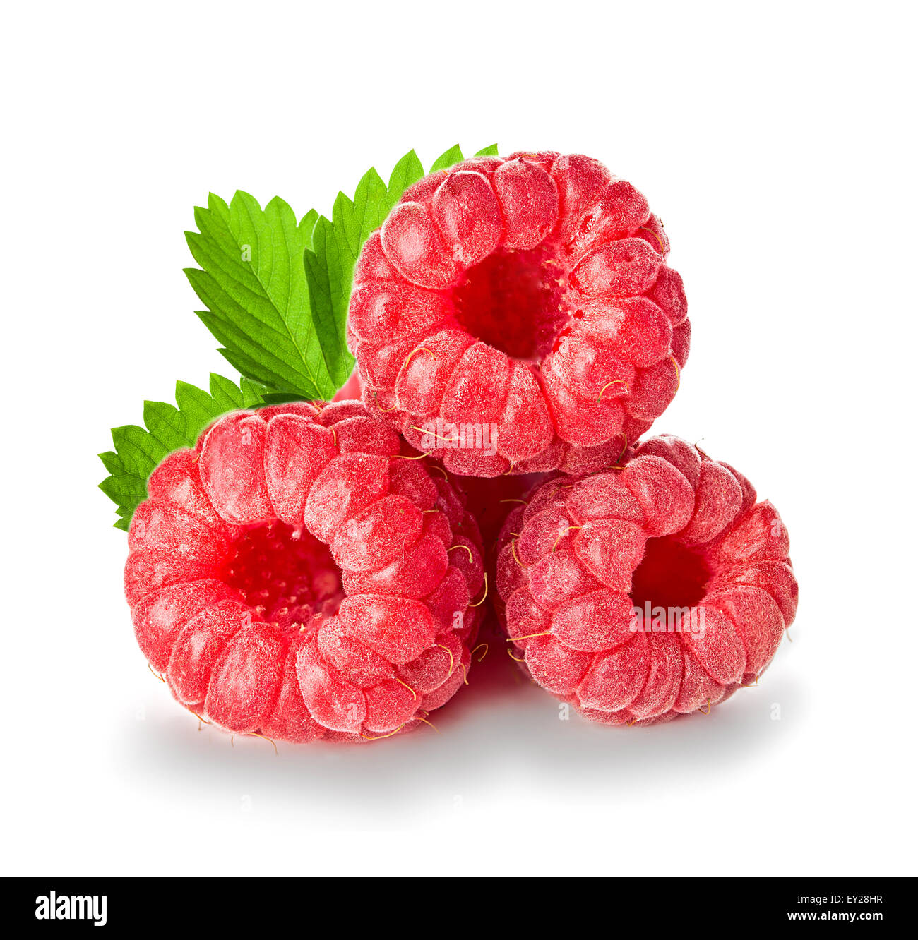 Ripe raspberries close-up isolated on a white background Stock Photo ...