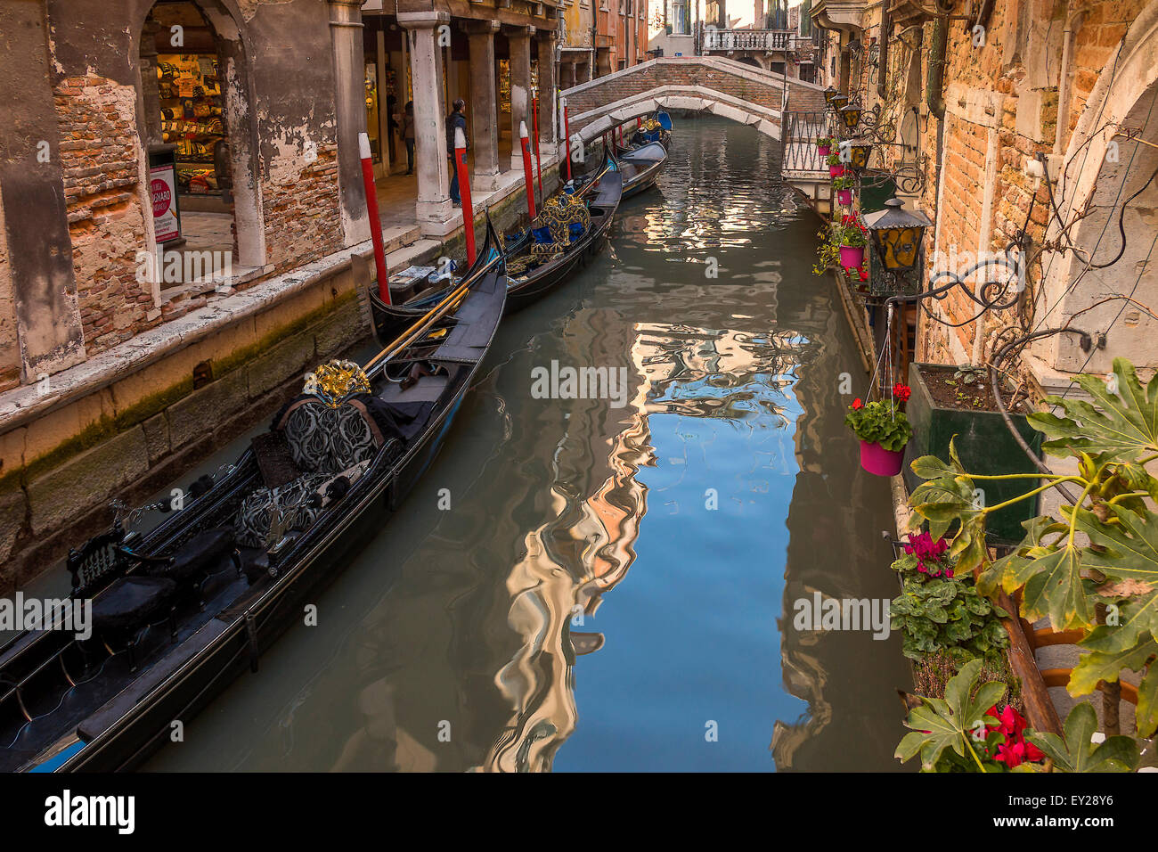 Flowers and Moored Gondolas Venice Italy Stock Photo - Alamy