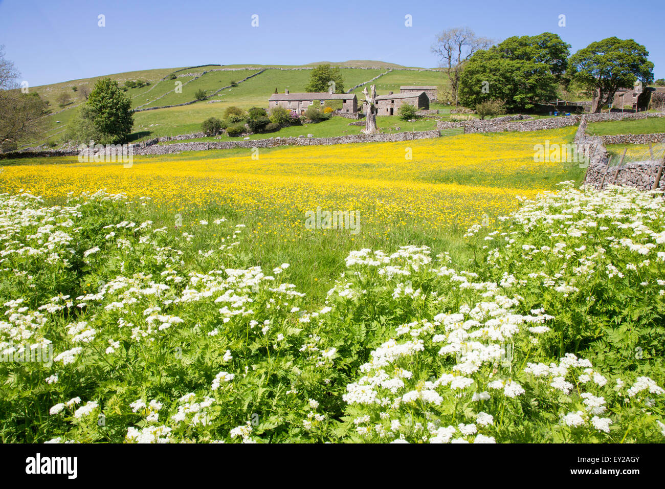 Traditional stone farmhouse hi-res stock photography and images - Alamy