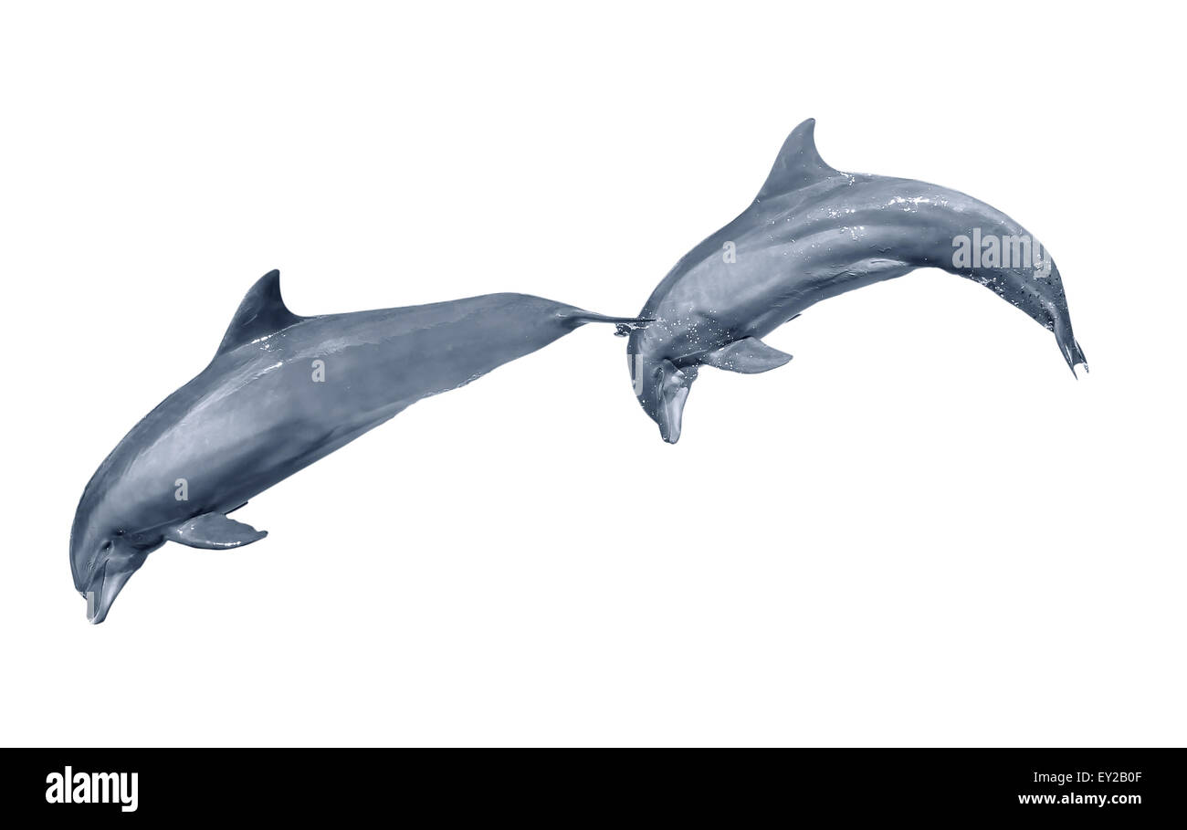 Poseidon Symbol Dolphin