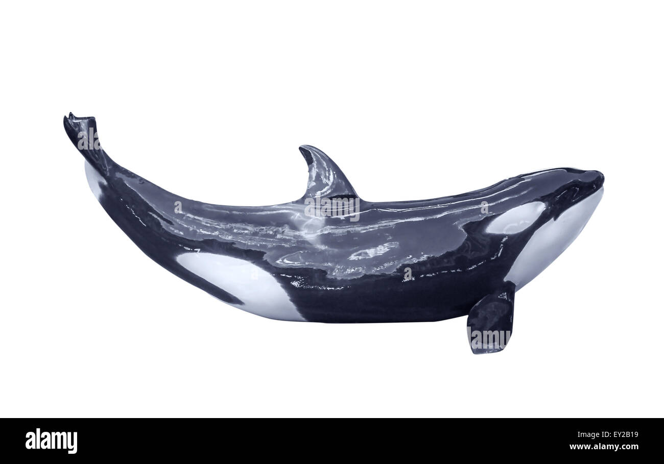 Orca whale show Cut Out Stock Images & Pictures - Alamy