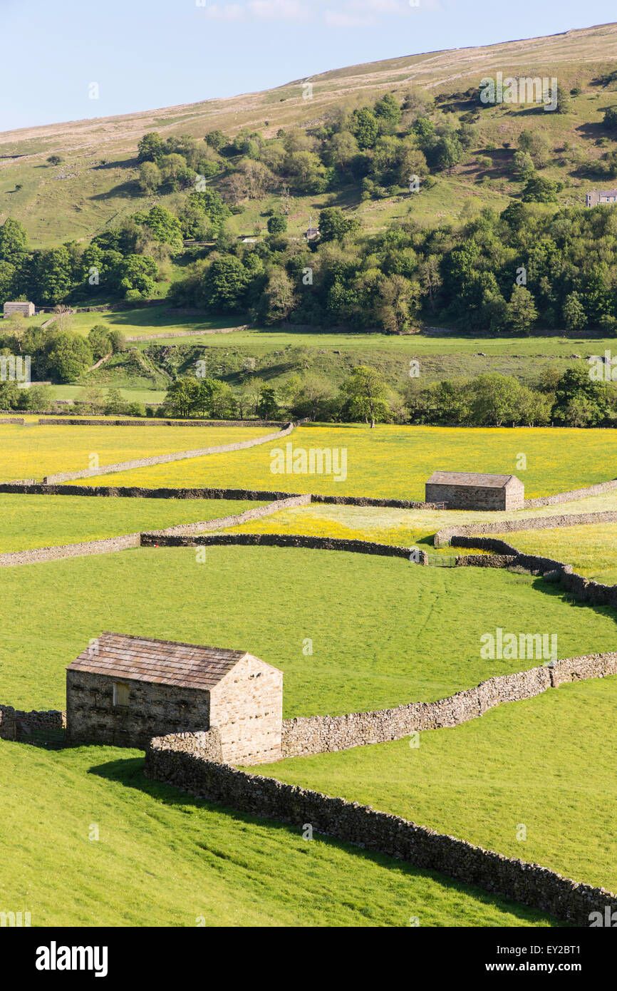 Swaledale, Yorkshire Dales National Park, North Yorkshire, England, UK ...