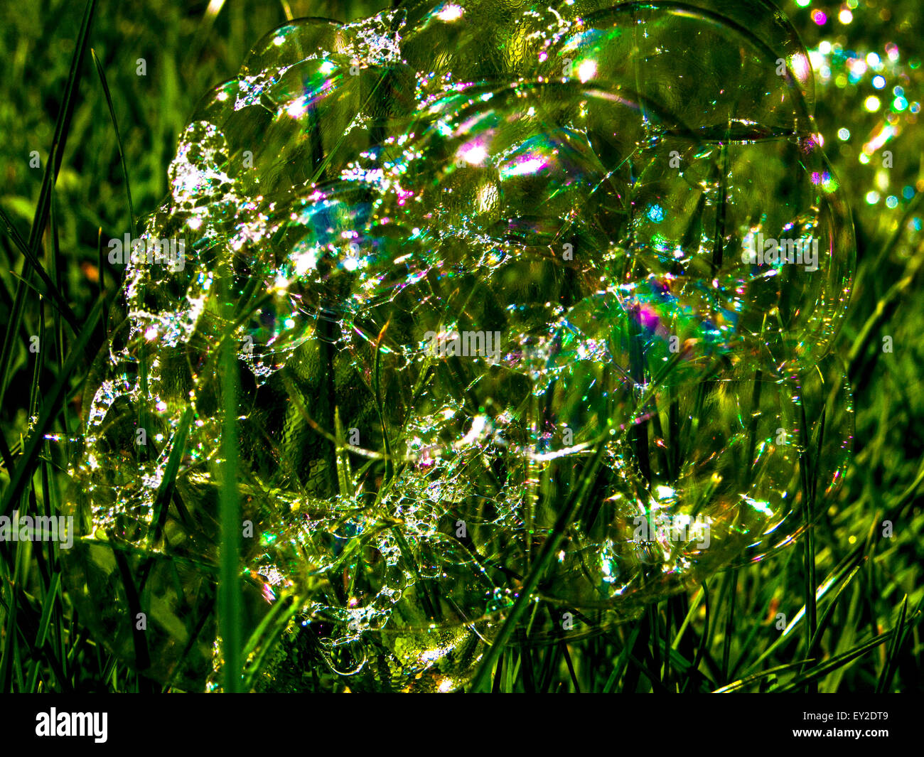 Bubbles reflecting sunshine Stock Photo - Alamy