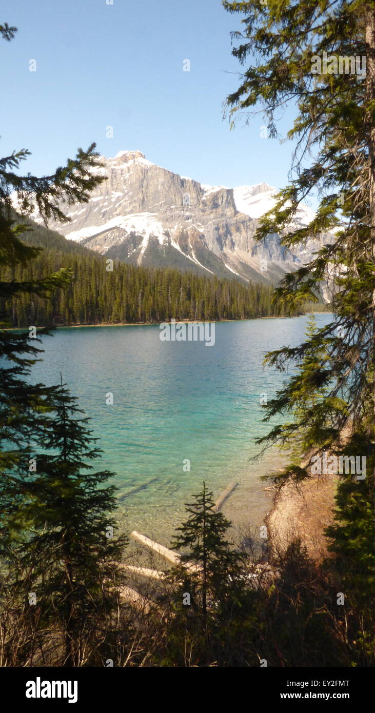 Emerald lake with Mount Wapta in the background in Yoho National Park ...