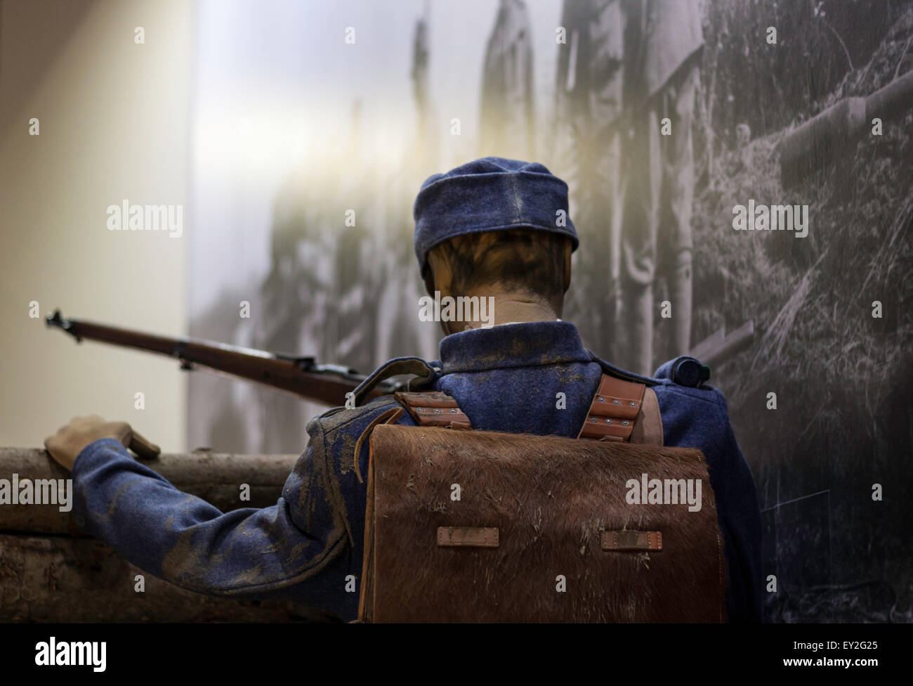 Cow Fight High Resolution Stock Photography and Images - Alamy