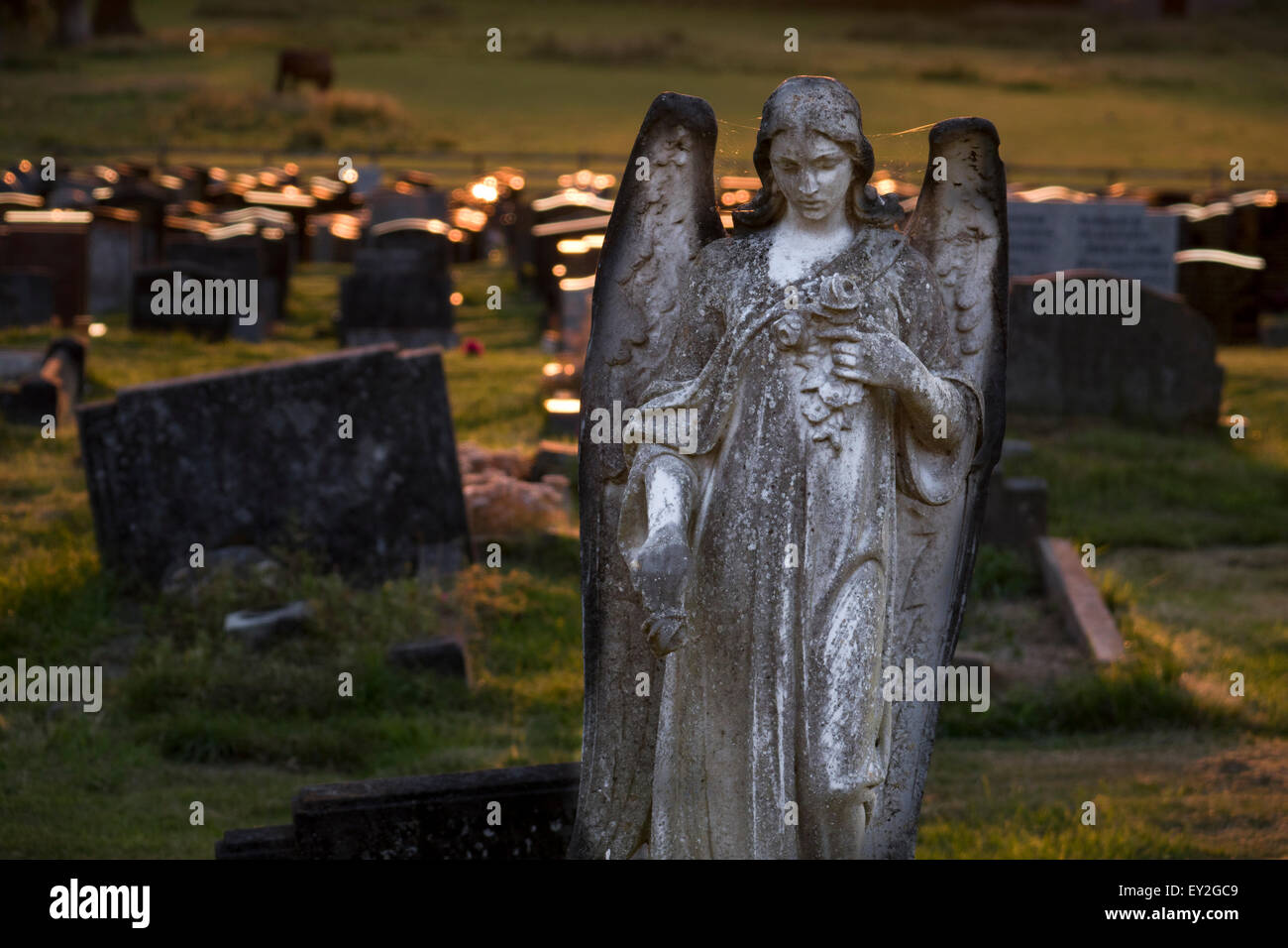 stone carved angel gravestone Stock Photo - Alamy