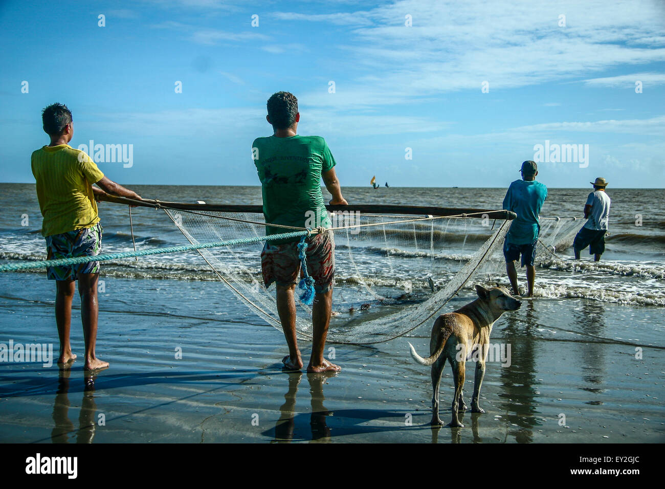 Traditional net fishing in Preá Beach, Jericoacoara, Ceará, Brazil ...