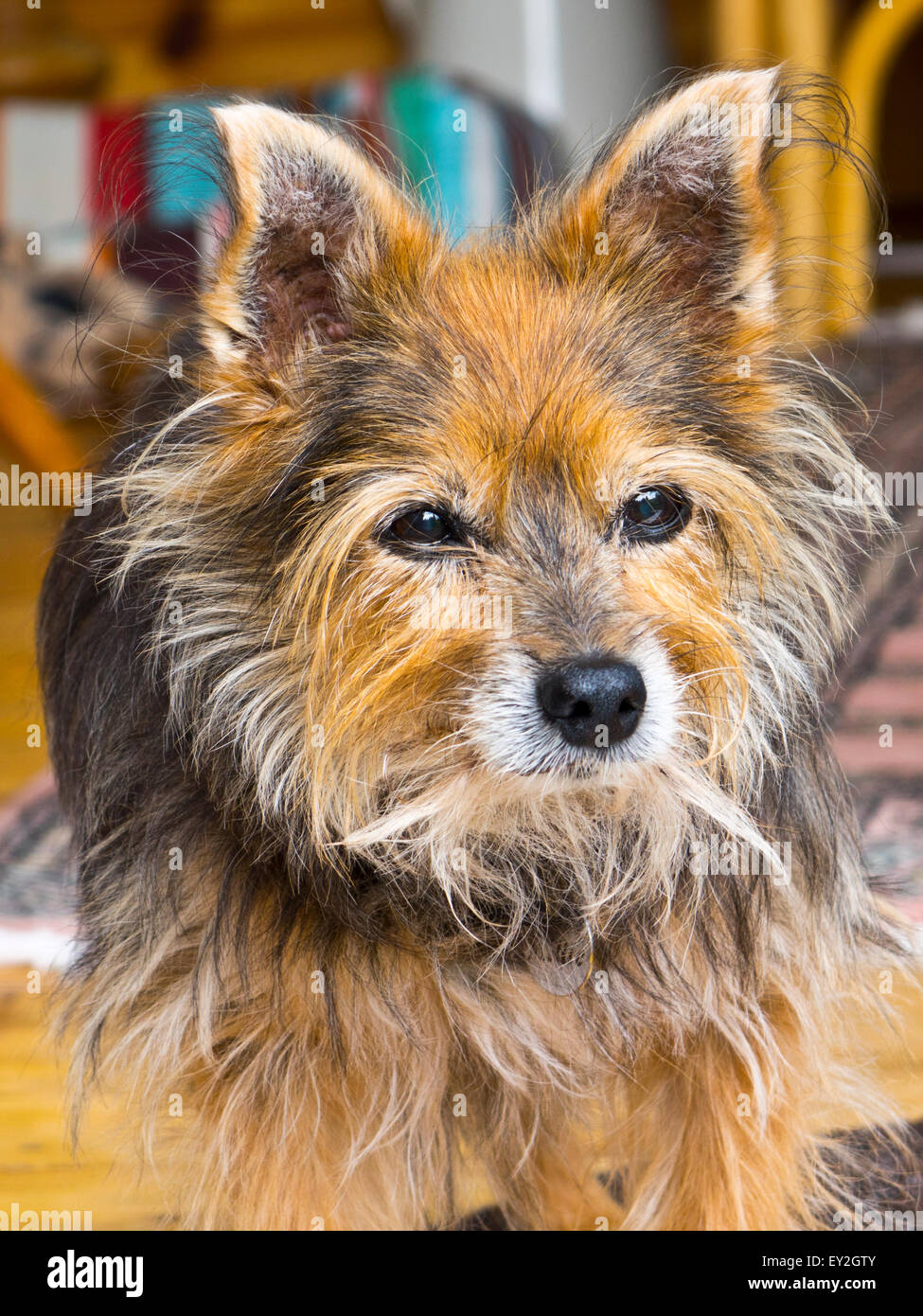 Old yorkshire hi-res stock photography and images - Alamy