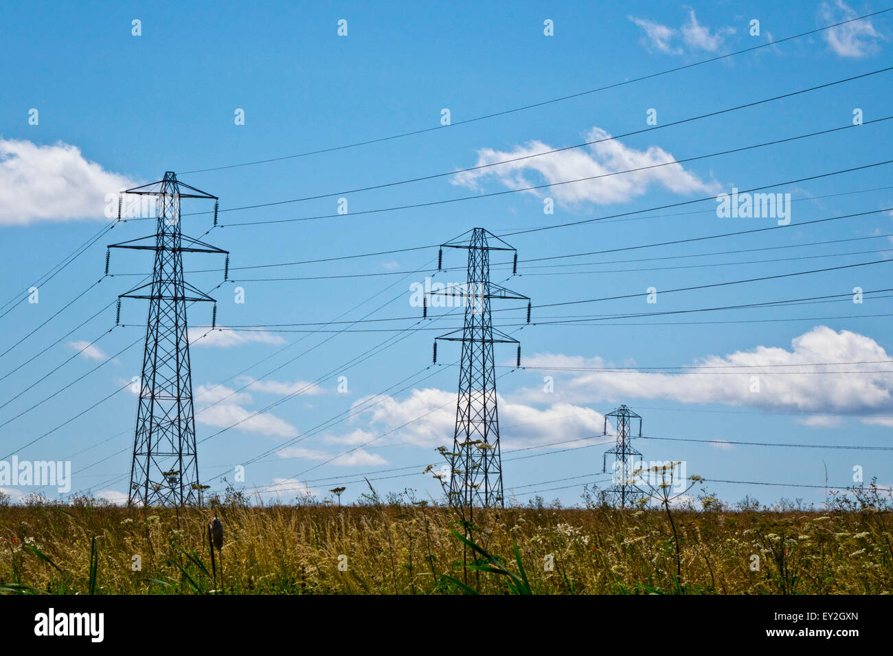 pylons in countryside field Stock Photo - Alamy