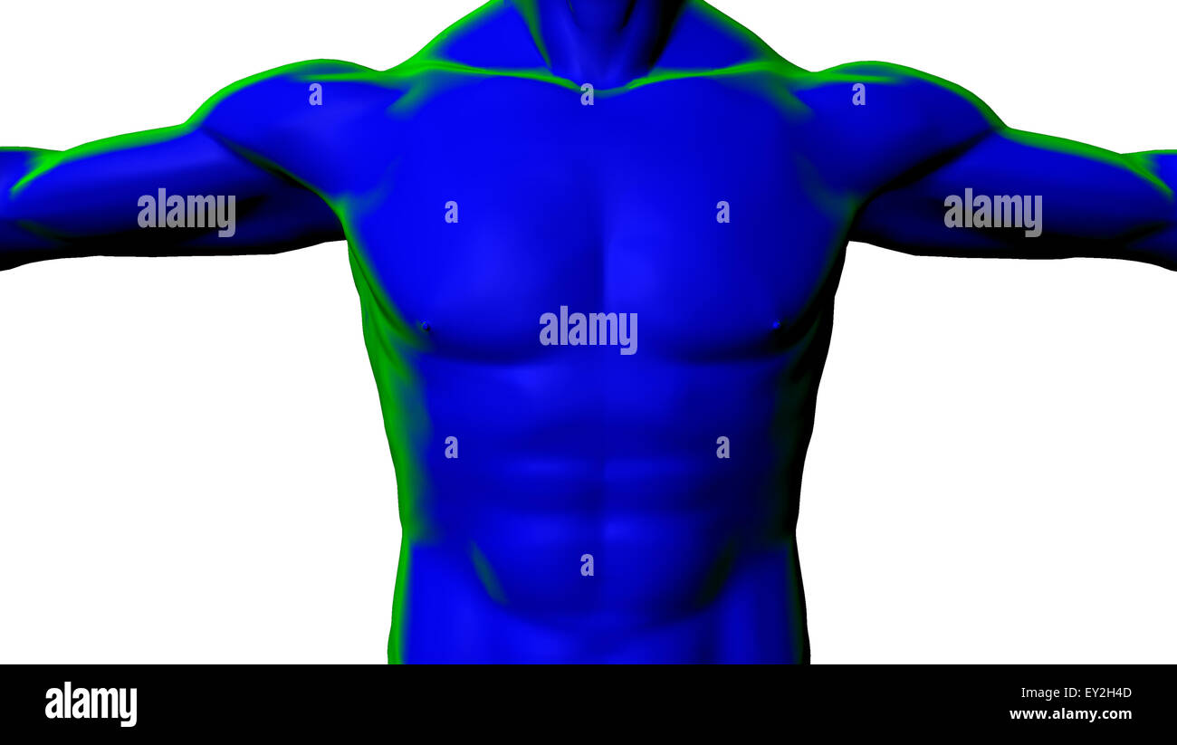 3d rendered illustration of a male body shape Stock Photo - Alamy