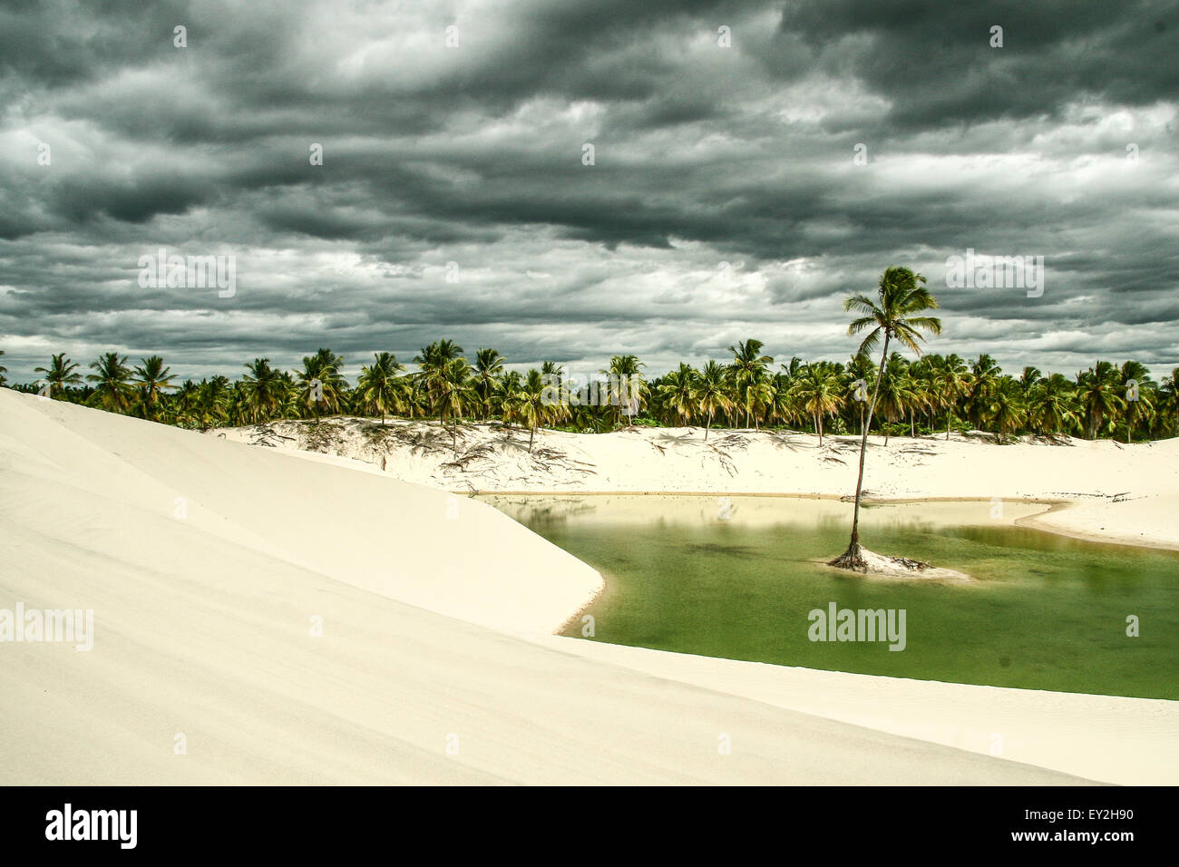 Paradise among dunes in Preá Beach, Jericoacoara, Ceará, Brazil Stock ...