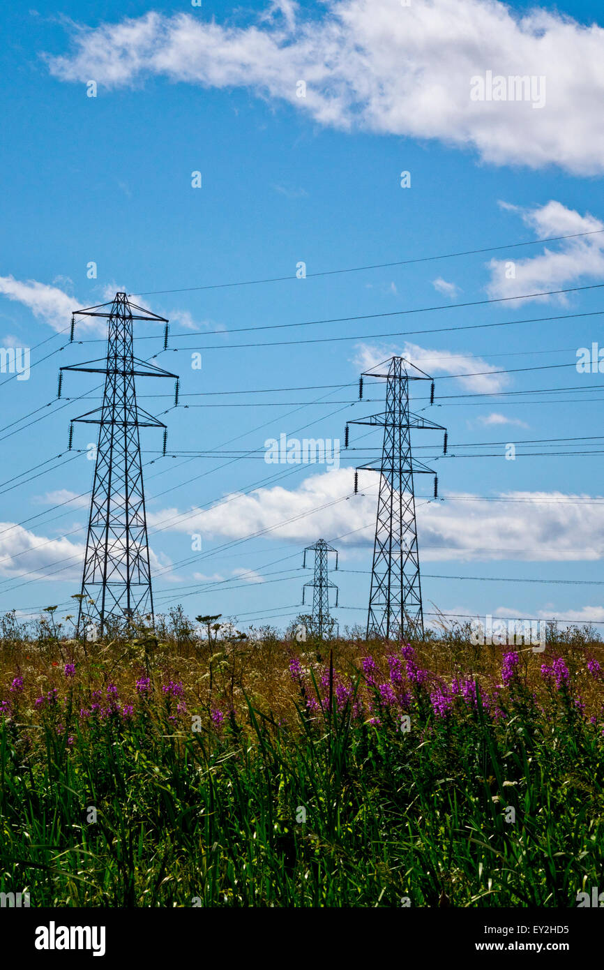 pylons in countryside field Stock Photo - Alamy
