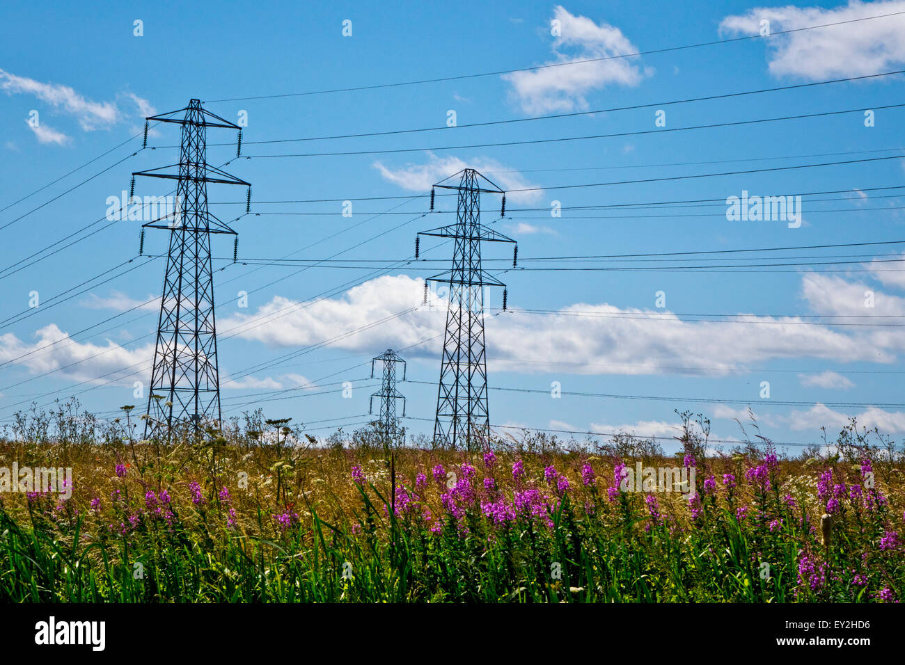 Pylons uk field hi-res stock photography and images - Alamy