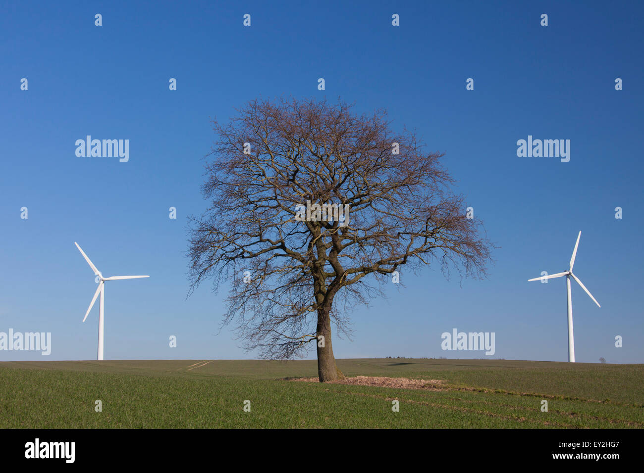 Windfarm Uk High Resolution Stock Photography and Images - Alamy