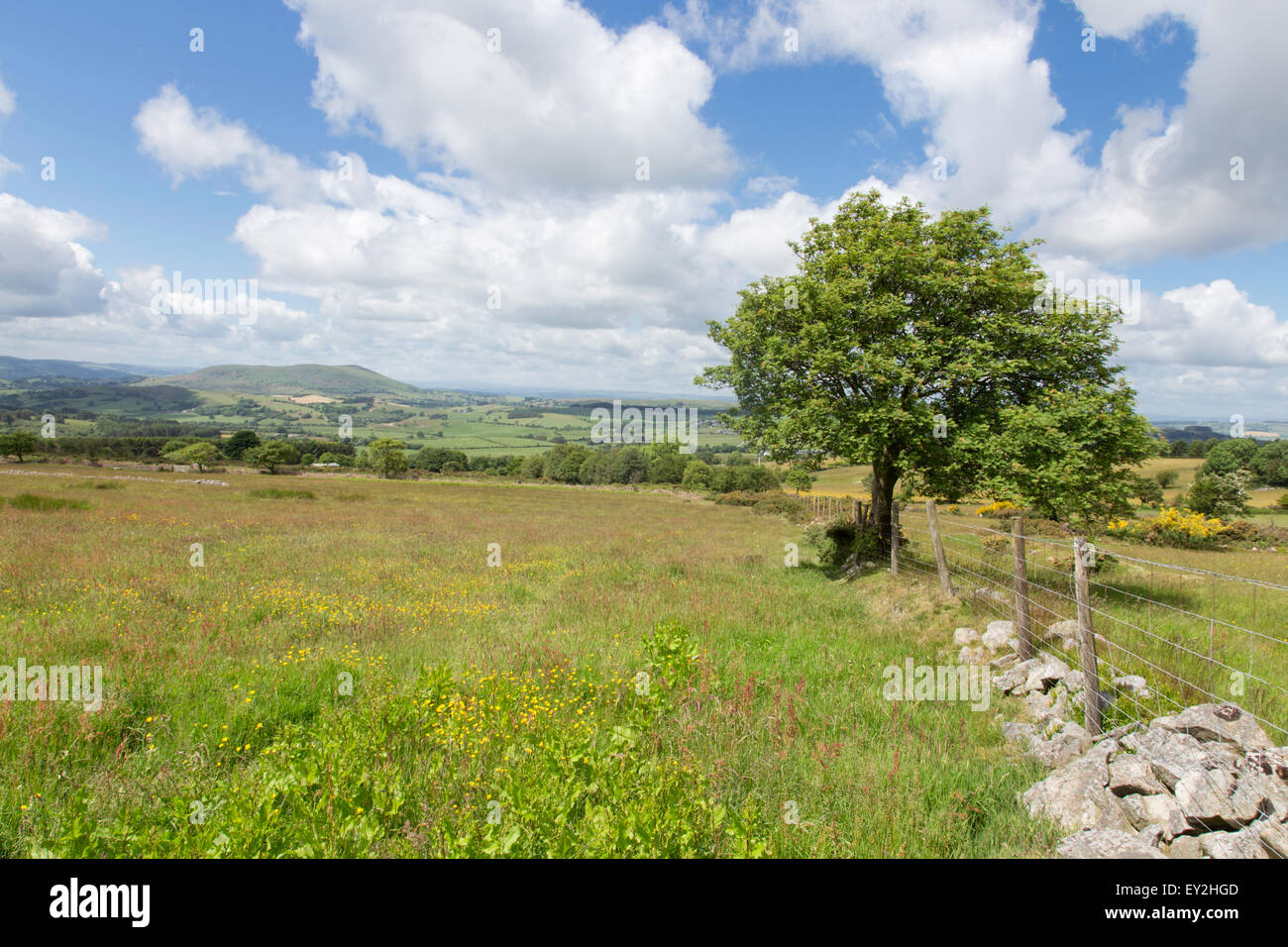 Stipersone national nature reserve hi-res stock photography and images ...