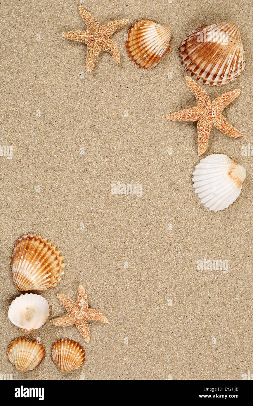 Sandy beach scene in summer vacation holiday with sand, sea shells and ...