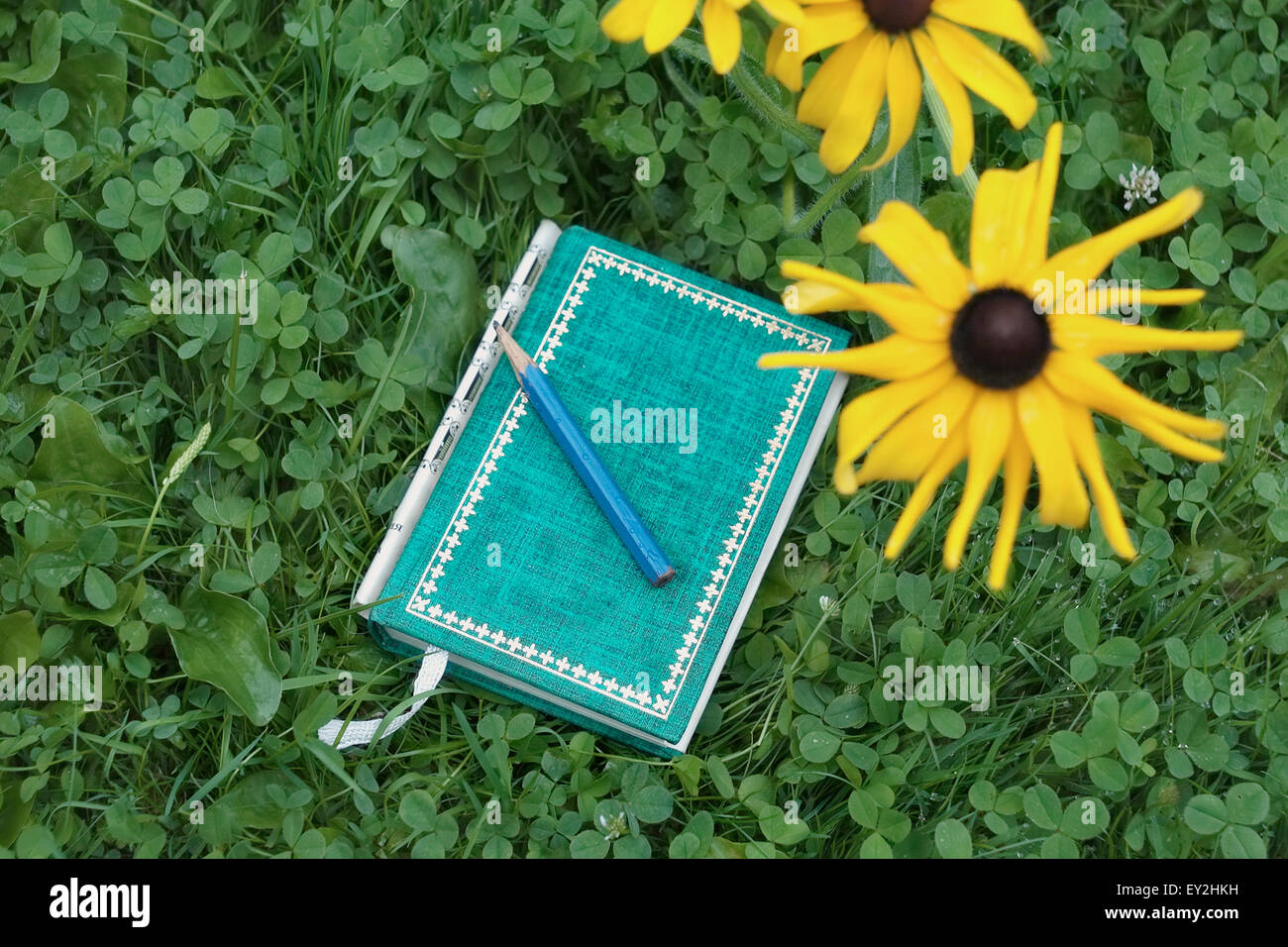 Reading poetry garden hi-res stock photography and images - Alamy
