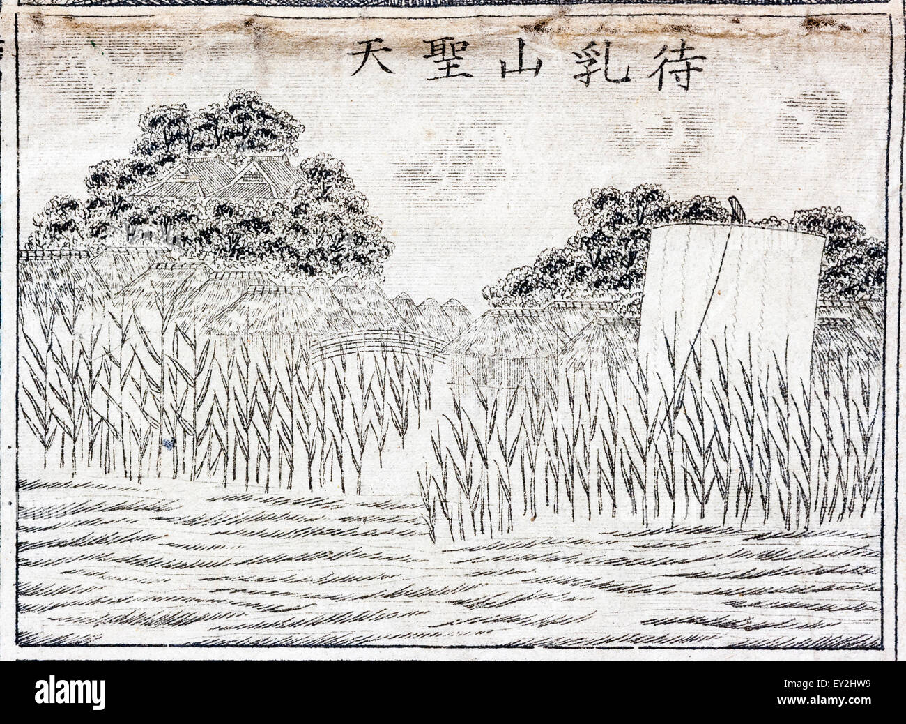 Japan, Meiji period 1882, Map of Tokyo. Margin line panel drawing of ...