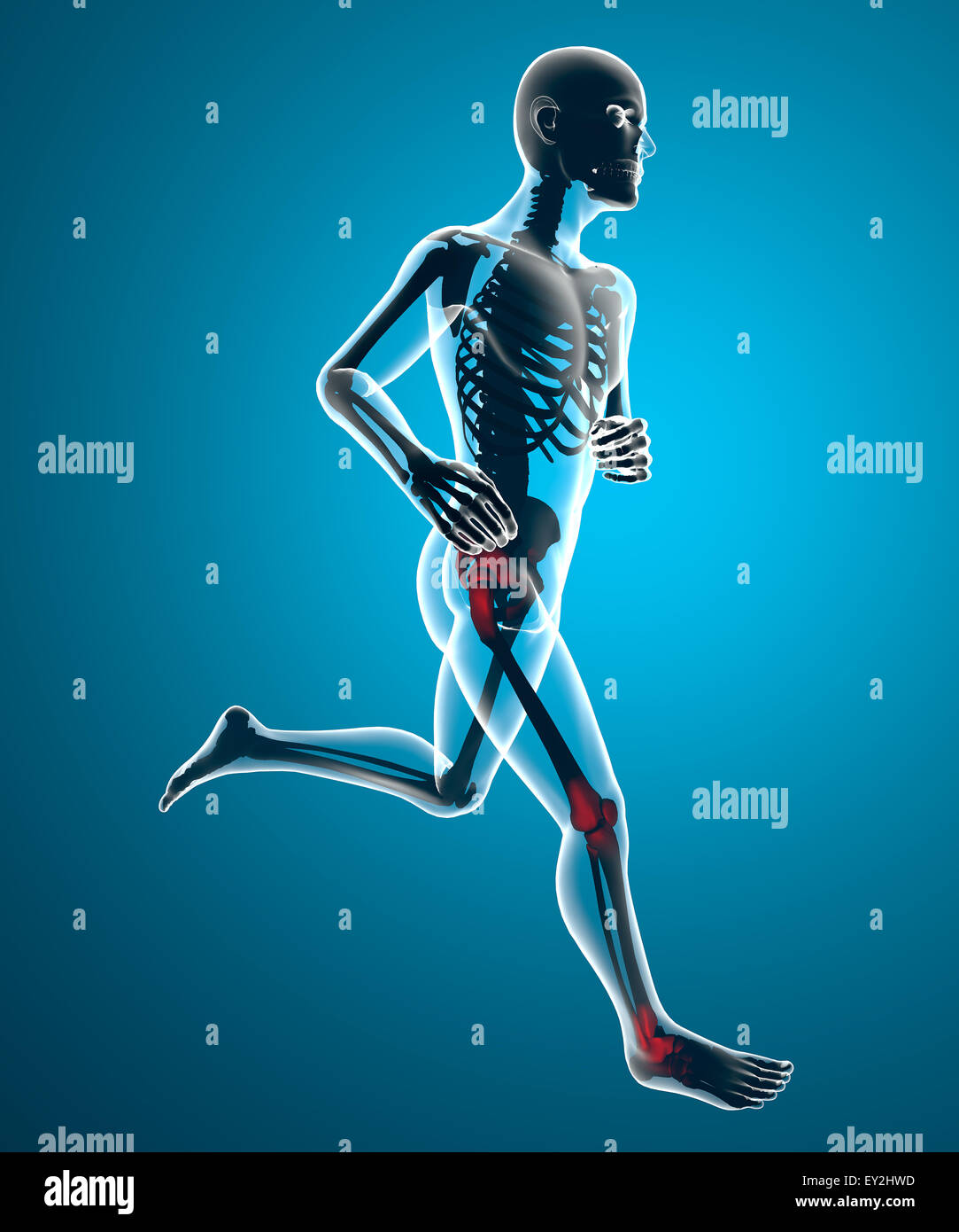 Skeleton running hi-res stock photography and images - Alamy