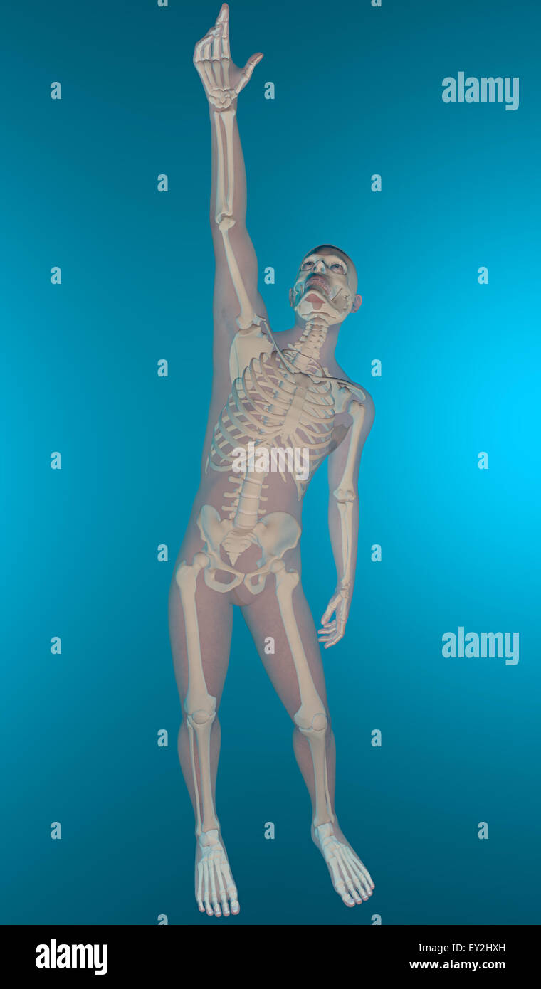 X ray of human body and skeleton with rasing hand Stock Photo - Alamy