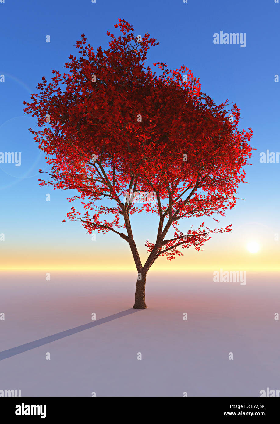 Individual single autumn fall leaf hi-res stock photography and images ...