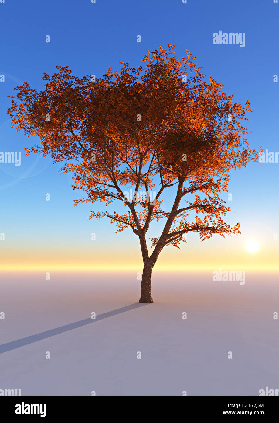 Individual single autumn fall leaf hi-res stock photography and images ...