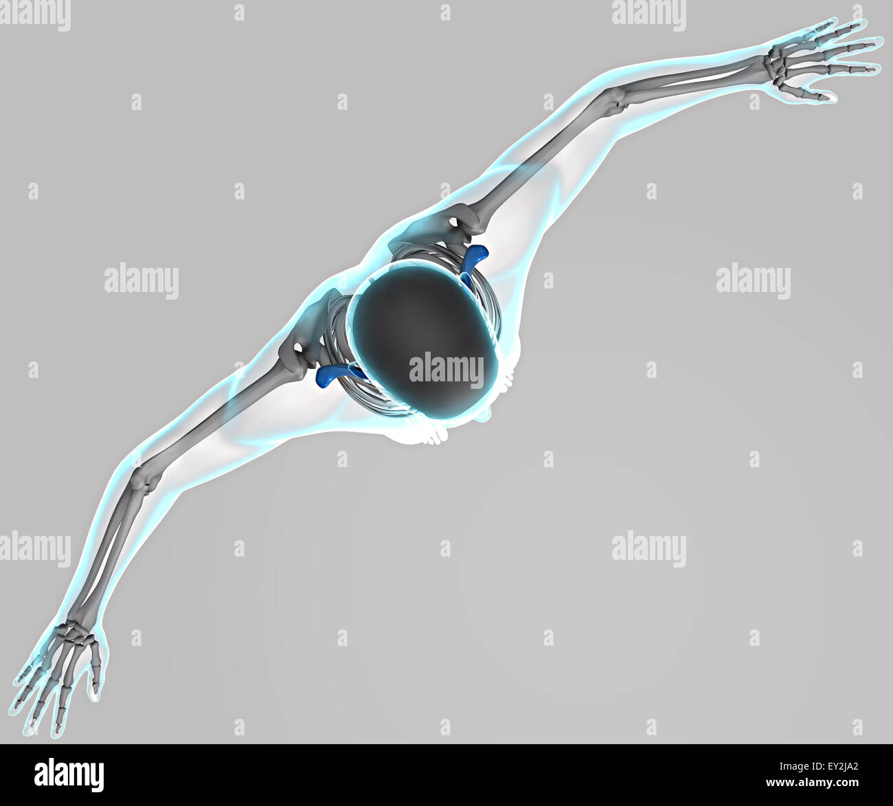 3d X ray of human body and skeleton Stock Photo - Alamy