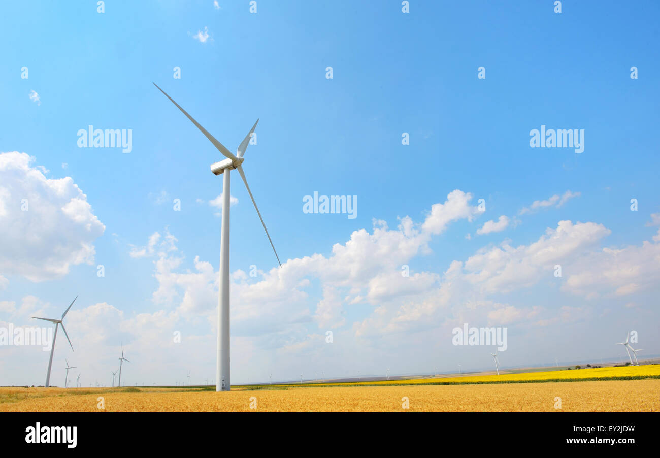 Wind Turbines in wind farm field Stock Photo - Alamy