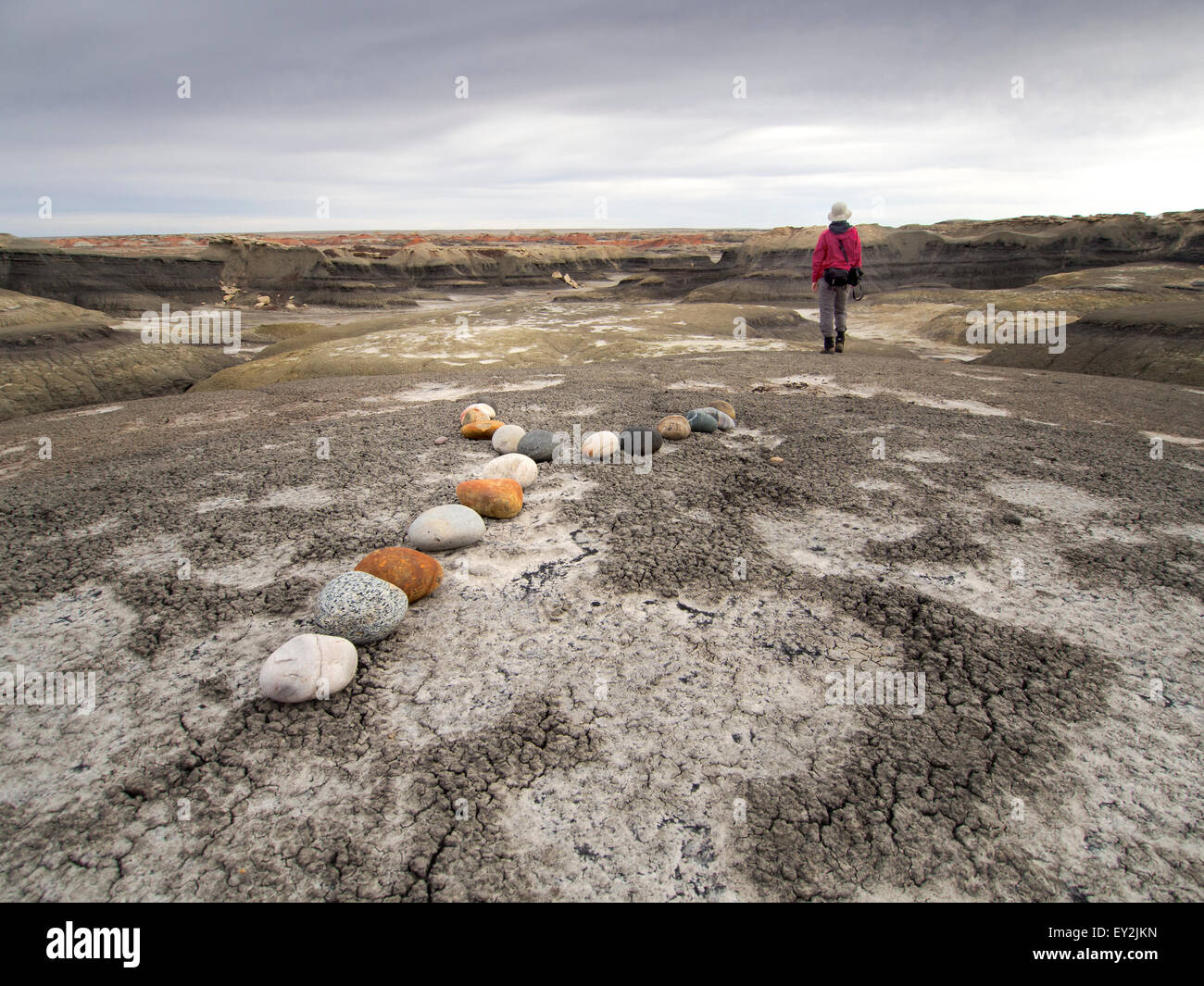 Dramatic Desolate Landscape in New Mexico Stock Photo - Alamy