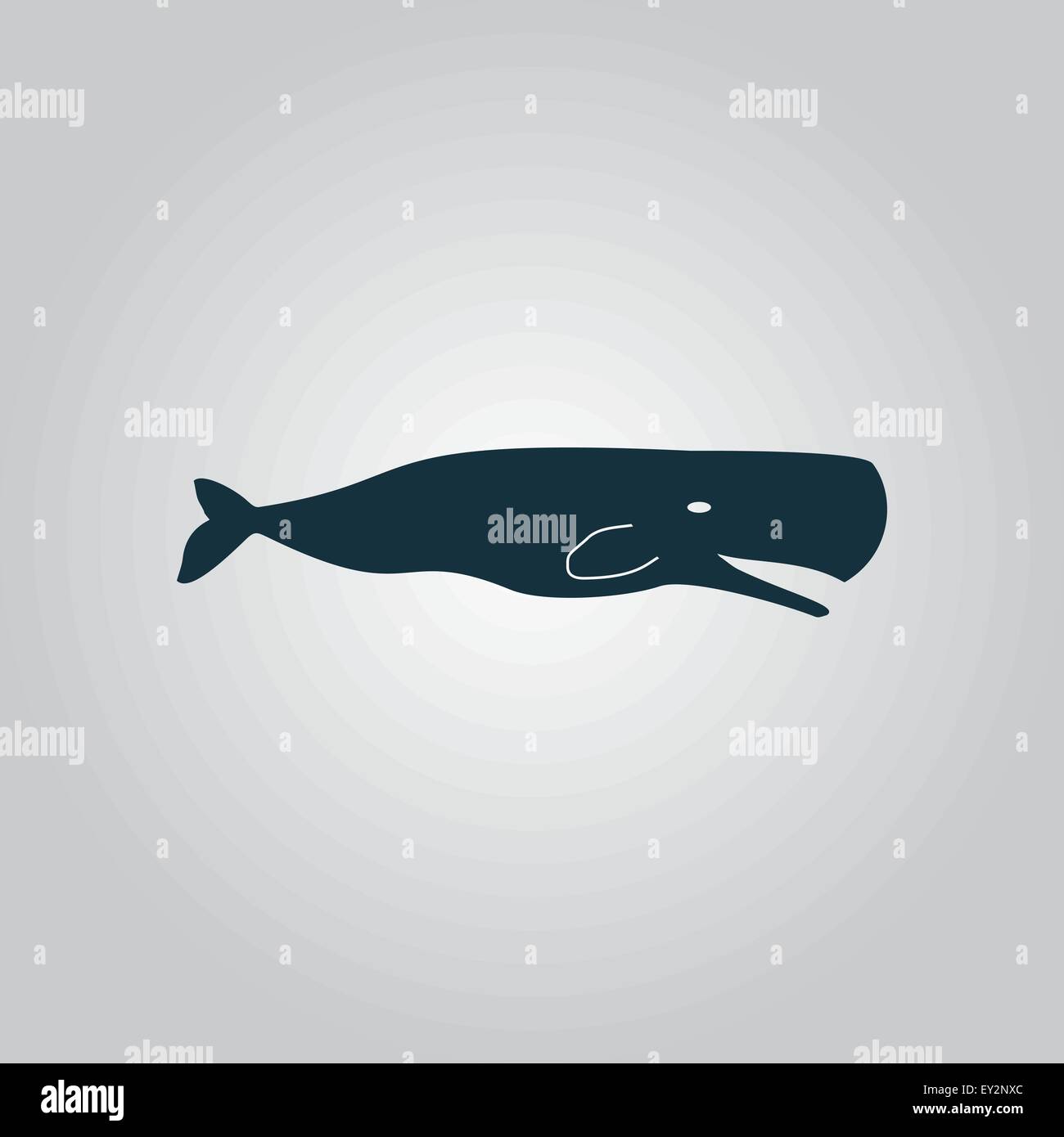 Sperm Whale icon Stock Vector Image & Art - Alamy