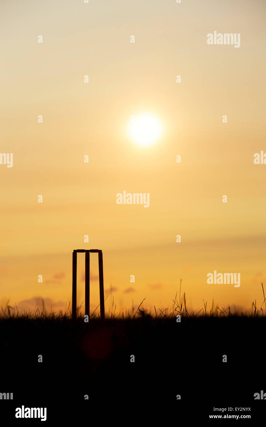 Cricket stumps silhouette against sunset hi-res stock photography and ...