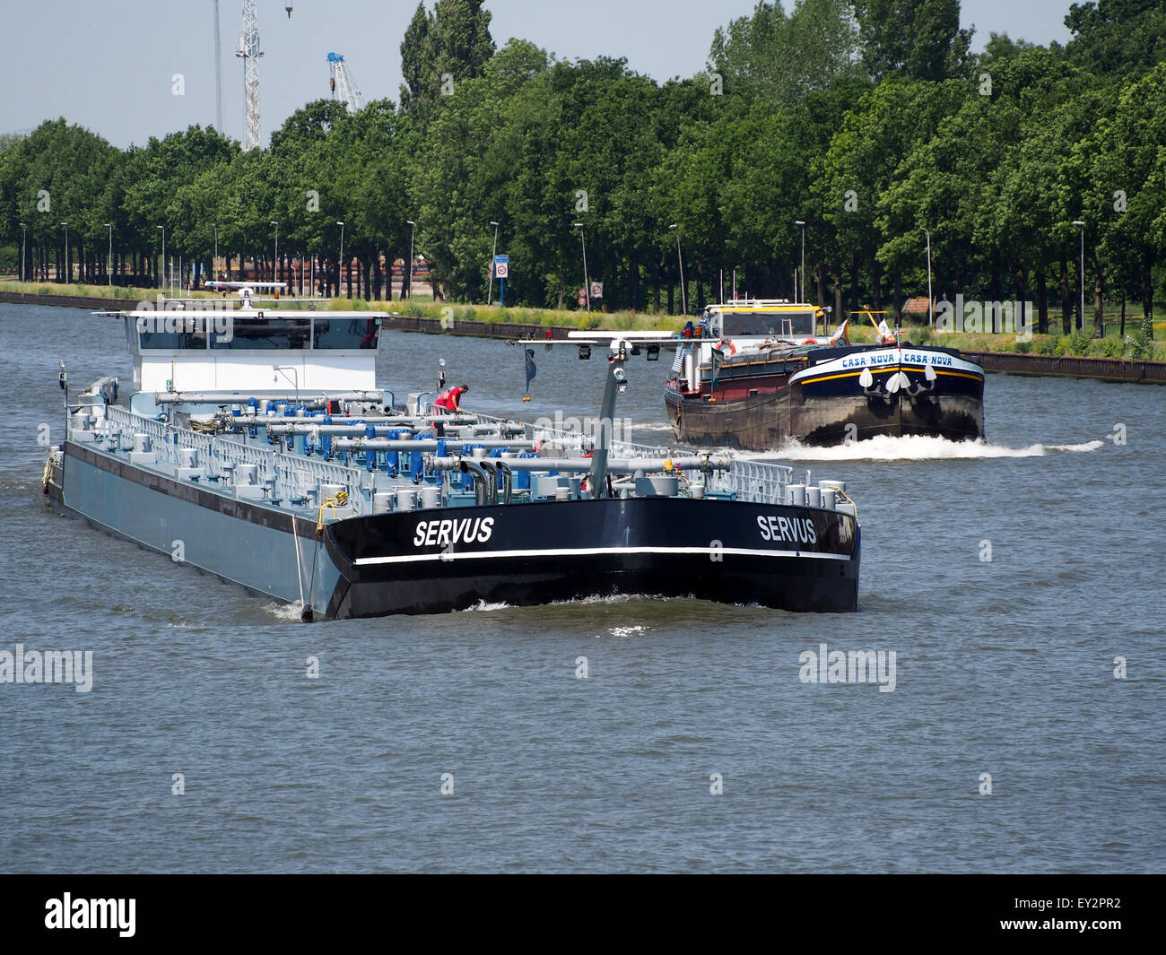 Servius hi-res stock photography and images - Alamy