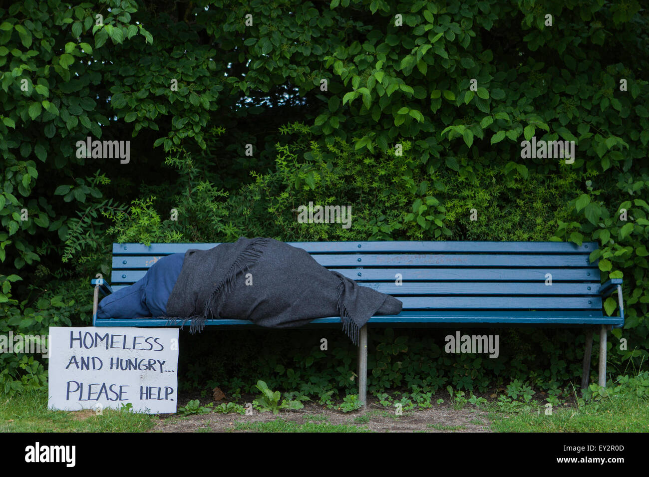 Homeless man cardboard sign on hi-res stock photography and images - Alamy