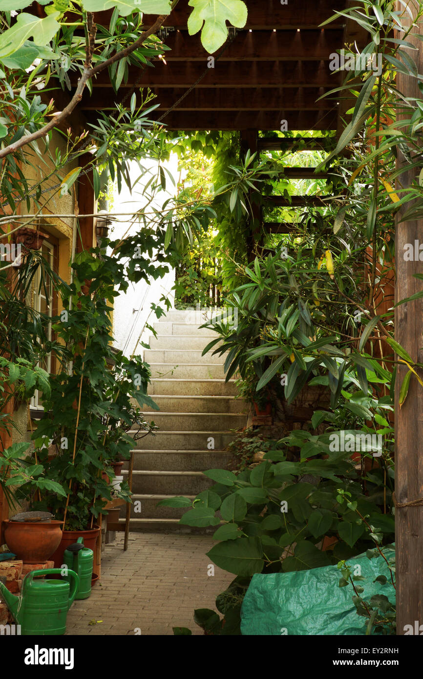 Stairs to private house entry Stock Photo - Alamy