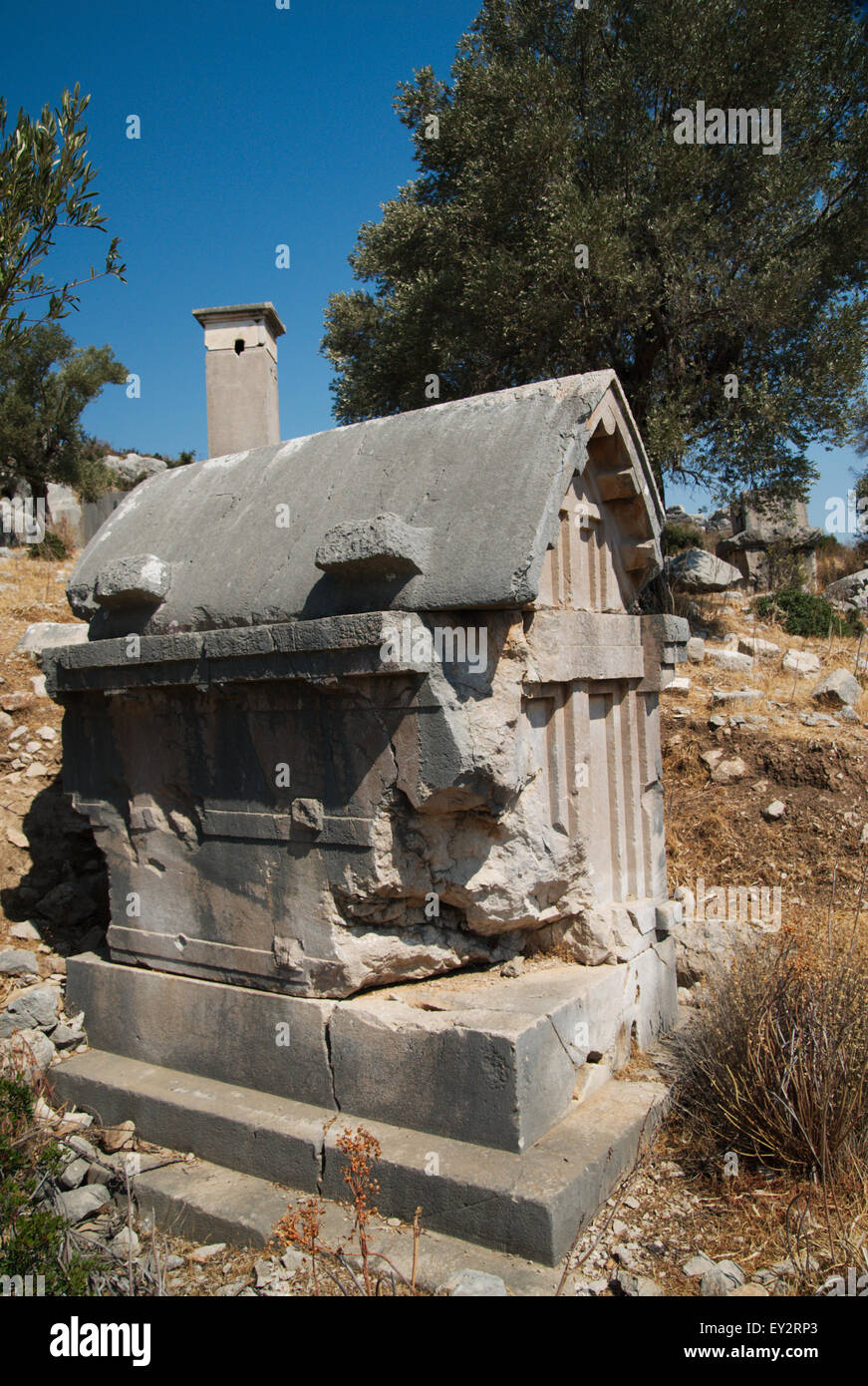 An ancient sarcophagus (stone coffin) rests in a grove of olive trees ...