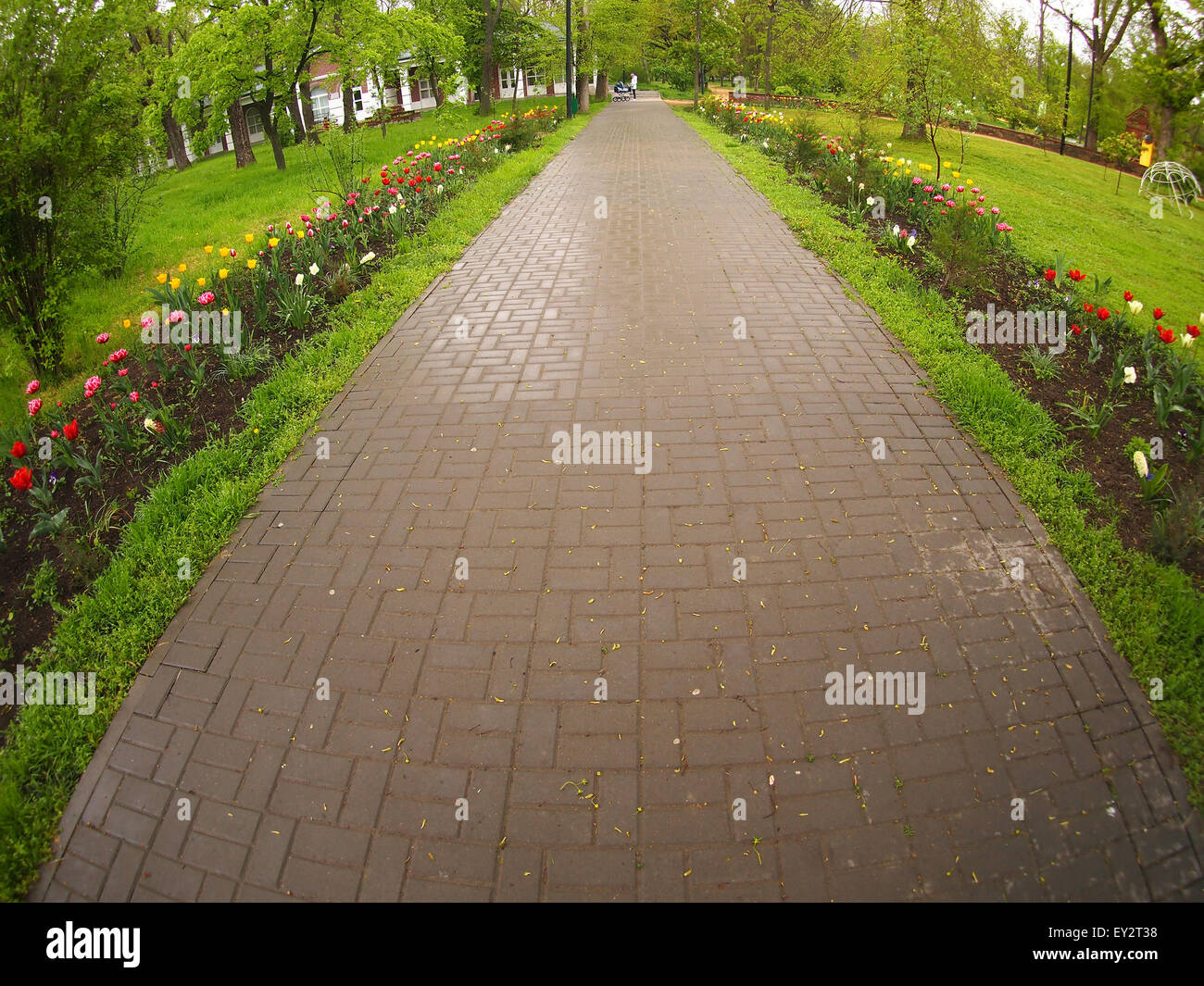 Path pathway tiles hi-res stock photography and images - Alamy