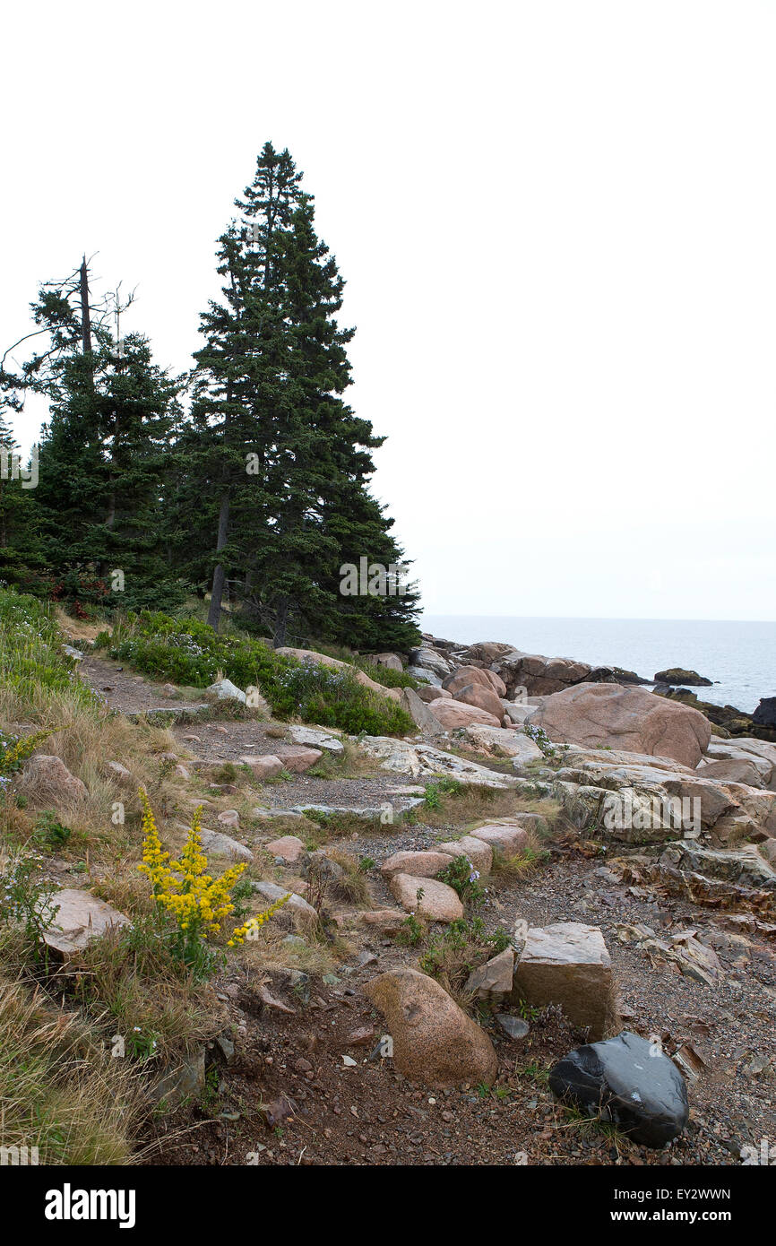 Ocean trail acadia hi-res stock photography and images - Alamy